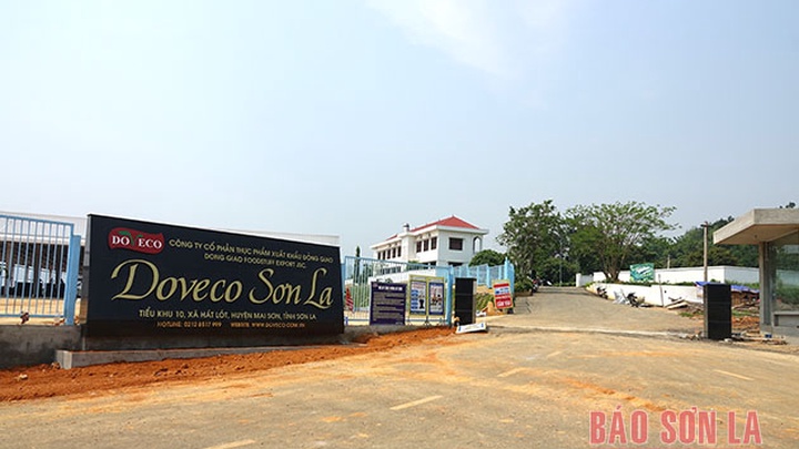Trên công trường xây dựng Trung tâm chế biến rau, quả Doveco Sơn La