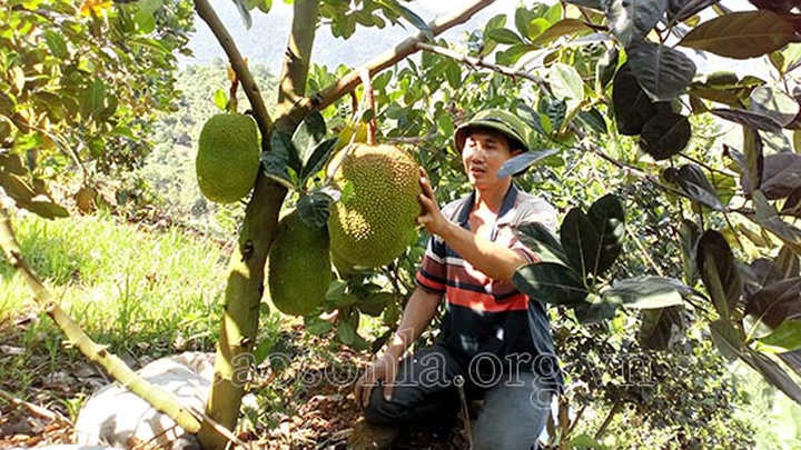 Hua Păng tìm hướng phát triển sản xuất bền vững
