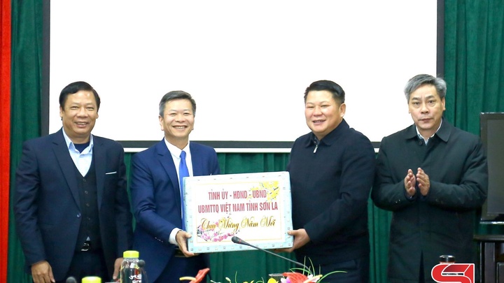 Provincial leader inspects operation of Son La's press agencies