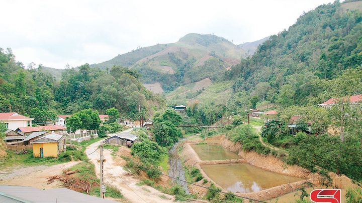 Sam Kha không còn xa nữa