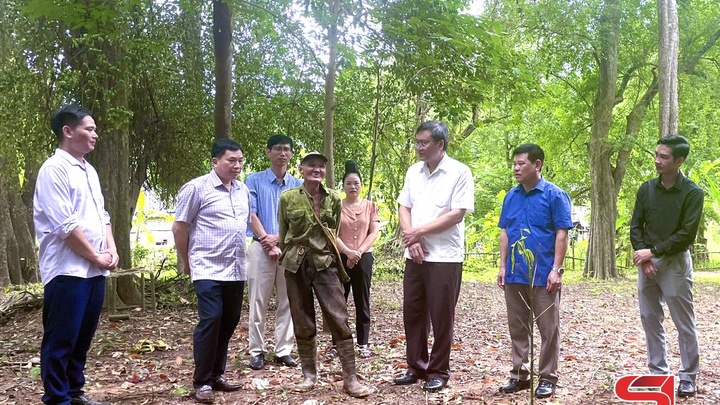 Khảo sát quản lý, sử dụng đất, rừng trong thực hành hoạt động tín ngưỡng