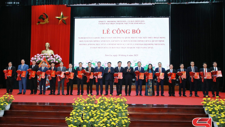 Son La announces central and provincial resolutions, decisions on two ...