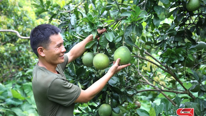 Đảng bộ xã Hua Păng lãnh đạo nhân dân phát triển kinh tế